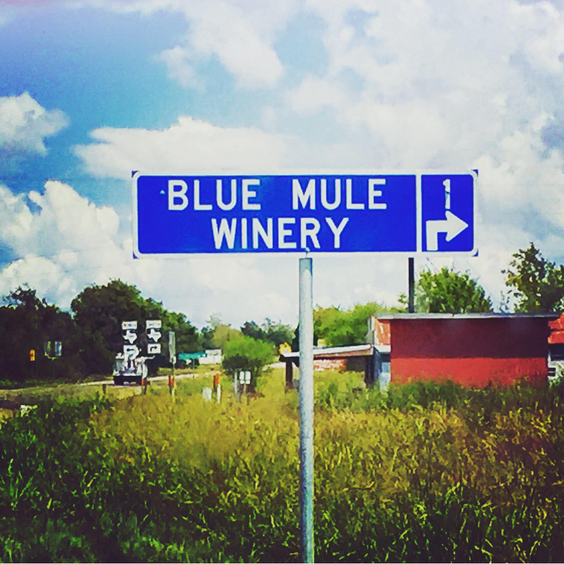 Ways To Stay | Blue Mule Winery